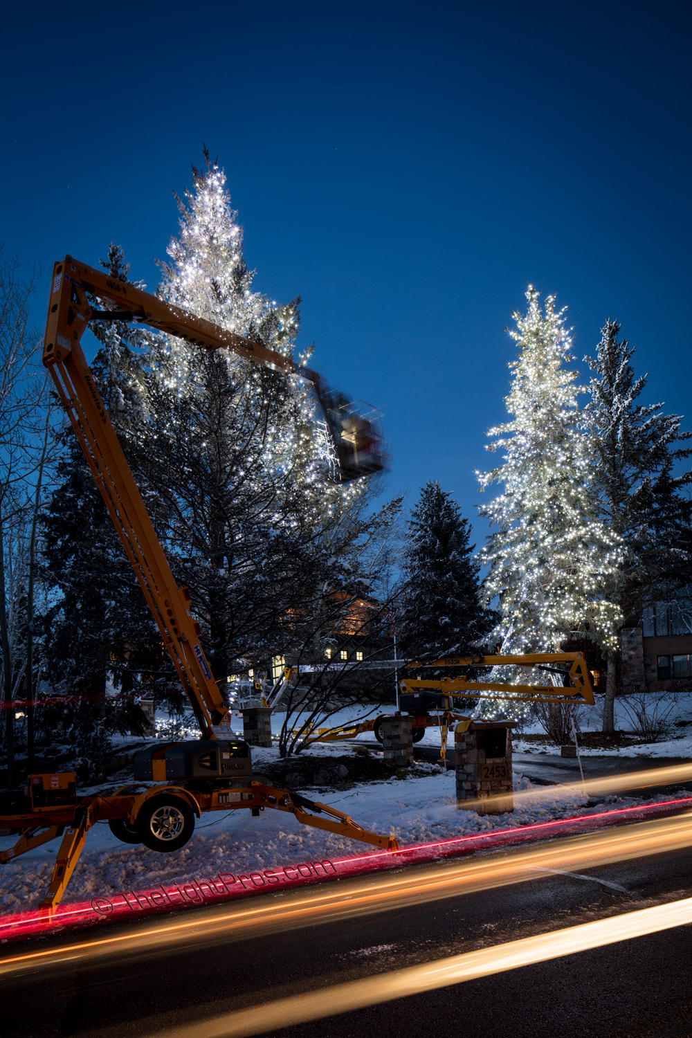 Christmas Tree Lighting - The Light Pros
