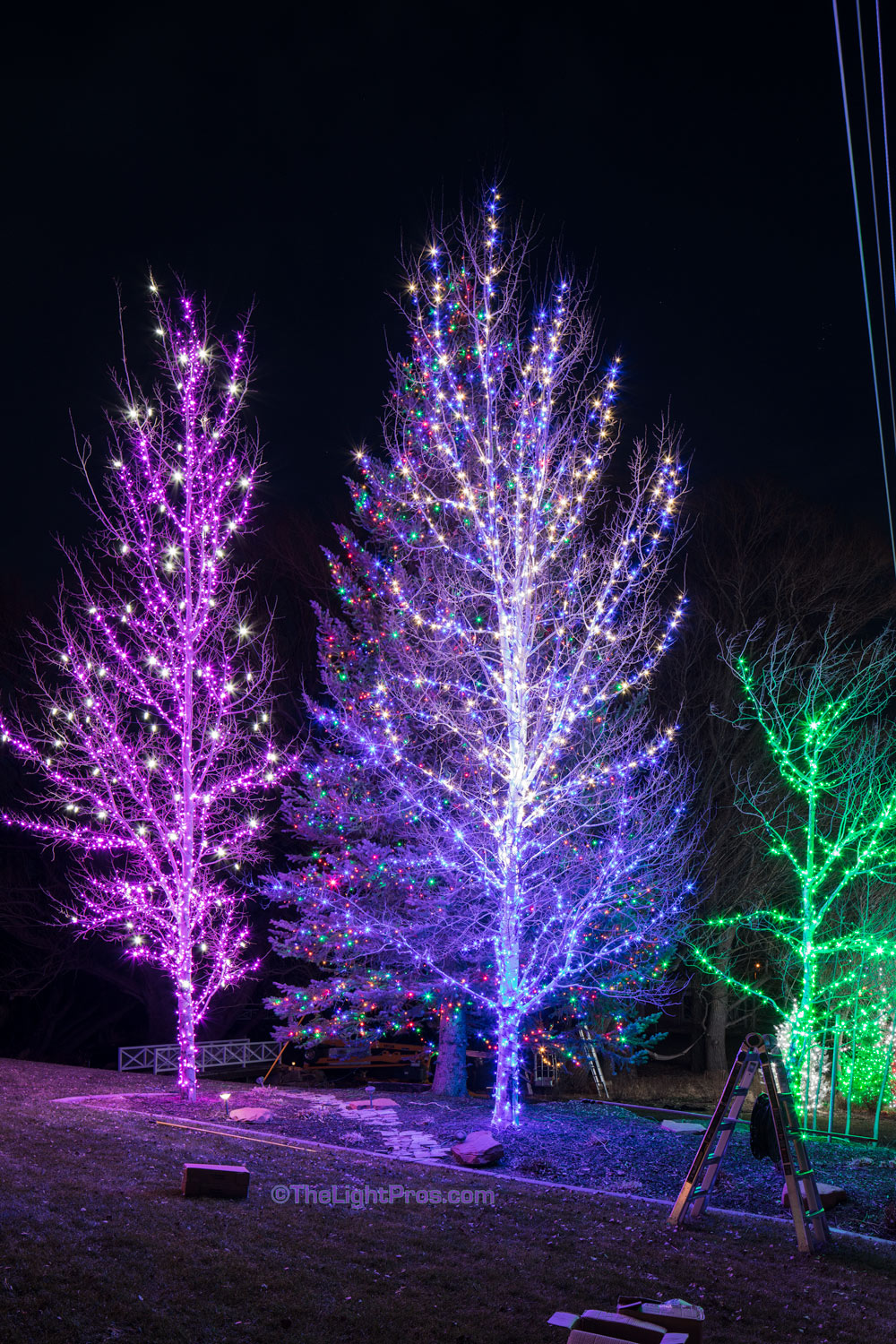 Christmas Tree Lighting - The Light Pros