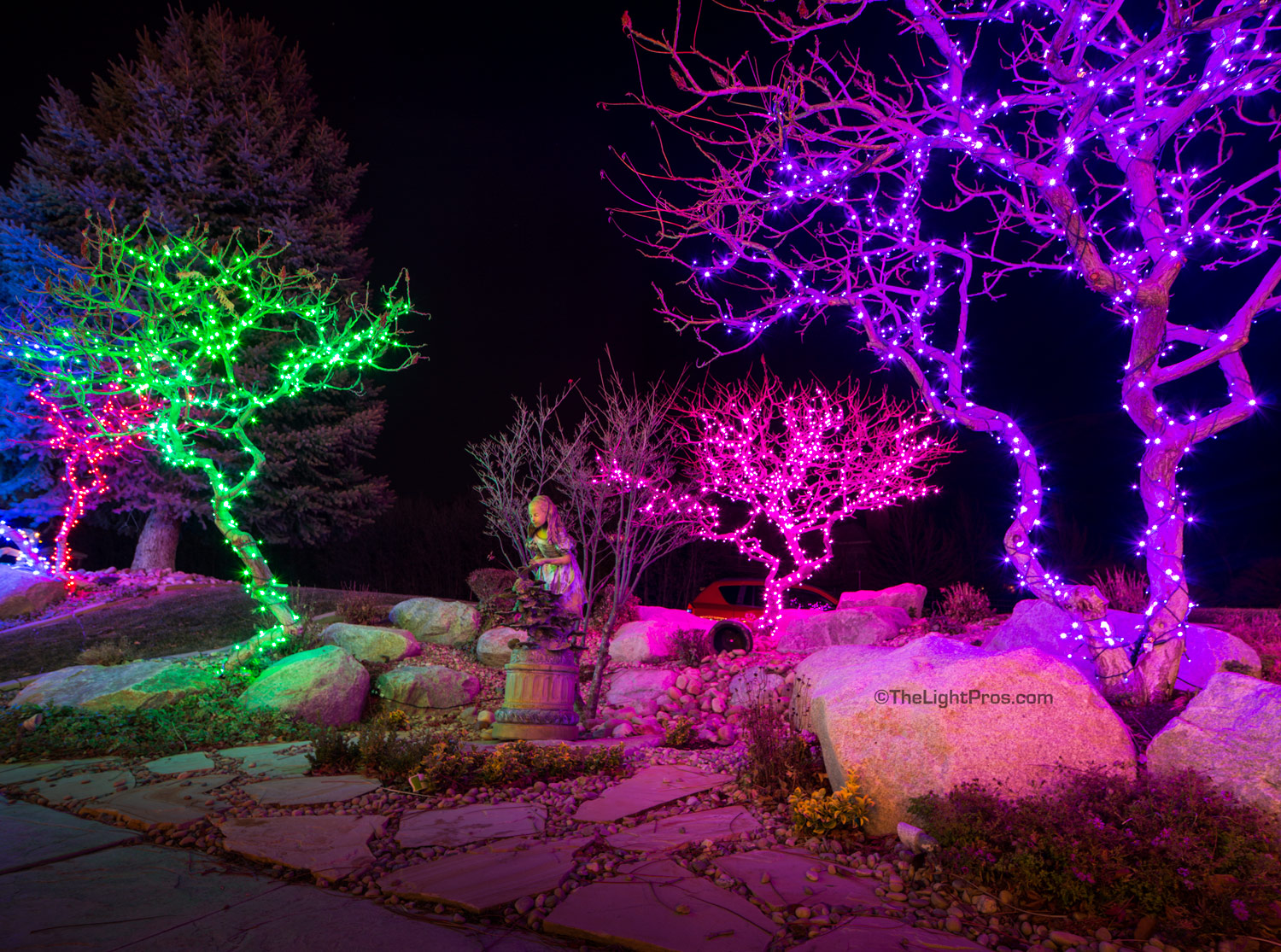 Christmas Tree Lighting - The Light Pros